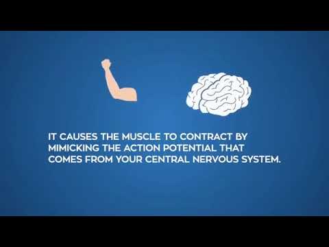 What is EMS?