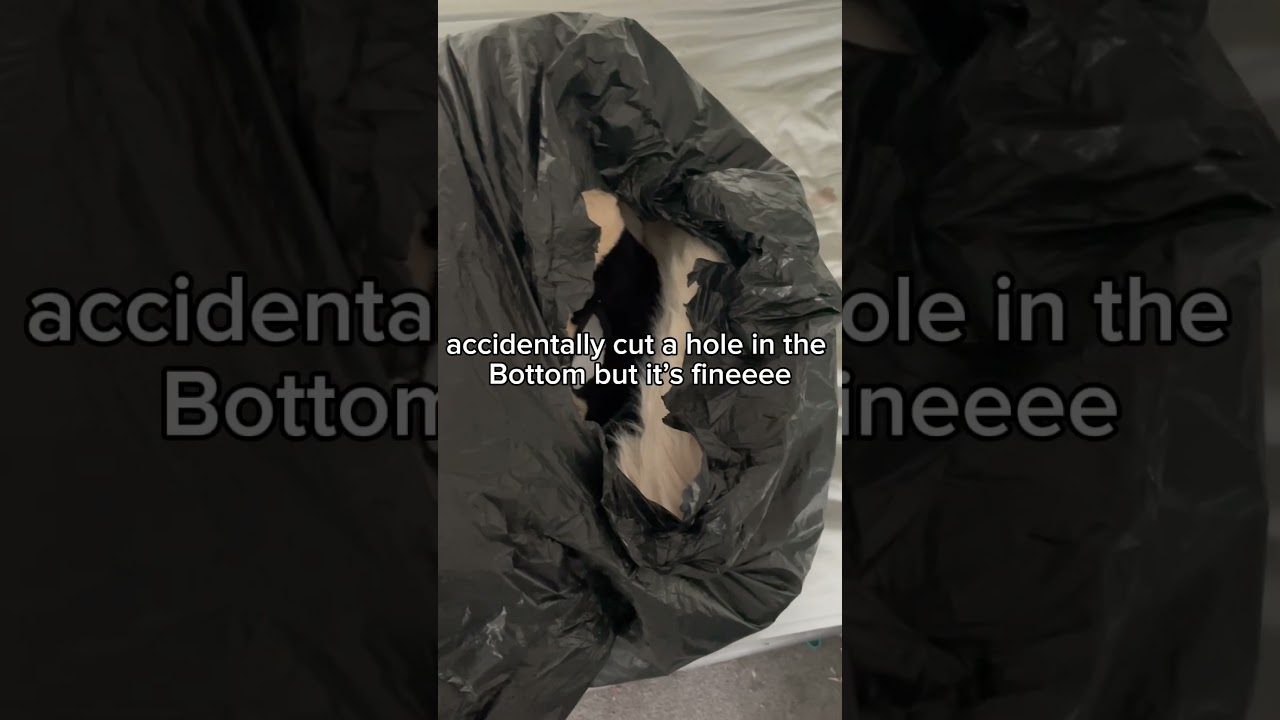 Btw I made this suit, this is an old video CRINE #furry #fursuiters #fursuit #unboxing #therian