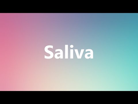 Saliva - Medical Definition and Pronunciation