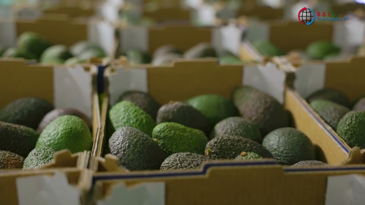 B&L Fruit Logistics