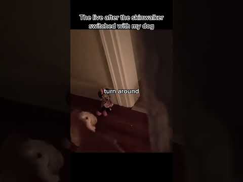 SkinWalker Switched with Pet Dog?! #skinwalkers