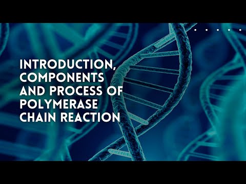 Introduction, Components and Process of Polymerase Chain Reaction