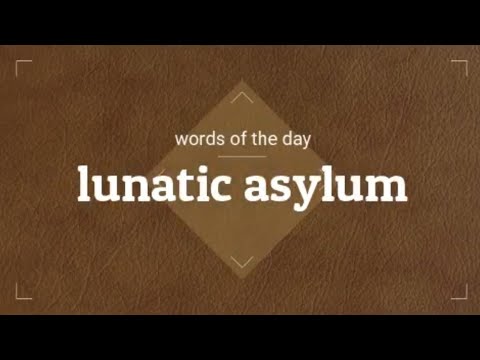 lunatic asylum: meaning and usage