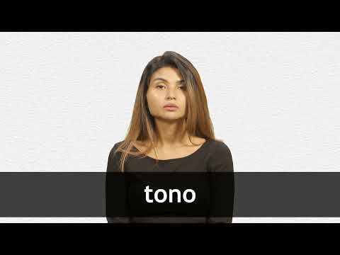 English Translation of “TONO” | Collins Spanish-English Dictionary