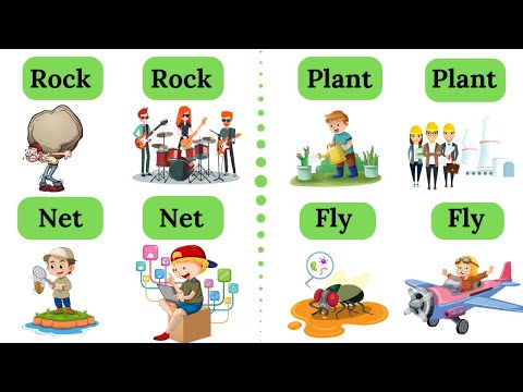 ||Homonyms with Examples||Dual-Meaning Words||"Learn Homonyms Through Contextual Sentences||