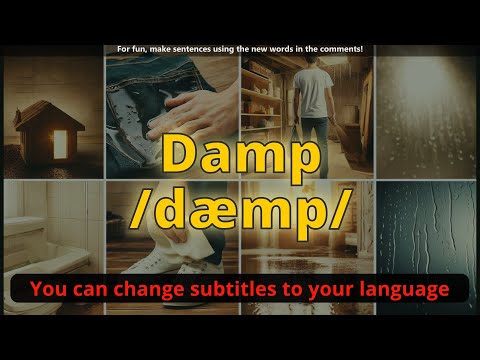 Damp meaning with 5 examples