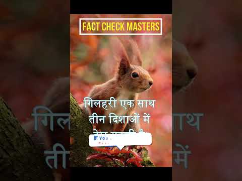 Fact Check Animals