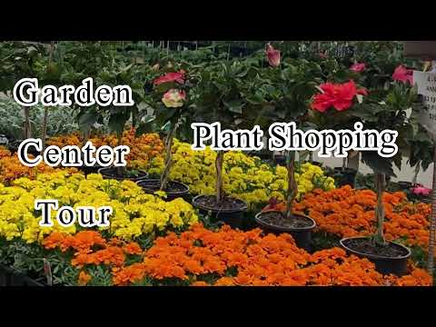 Garden Center Tour and Plant Shopping at Cal’s Market and Garden Center