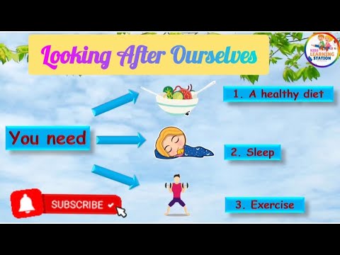 Looking After Ourselves | Cambridge Science Grade 3 | Food Pyramid | Food Groups | Five Food Groups