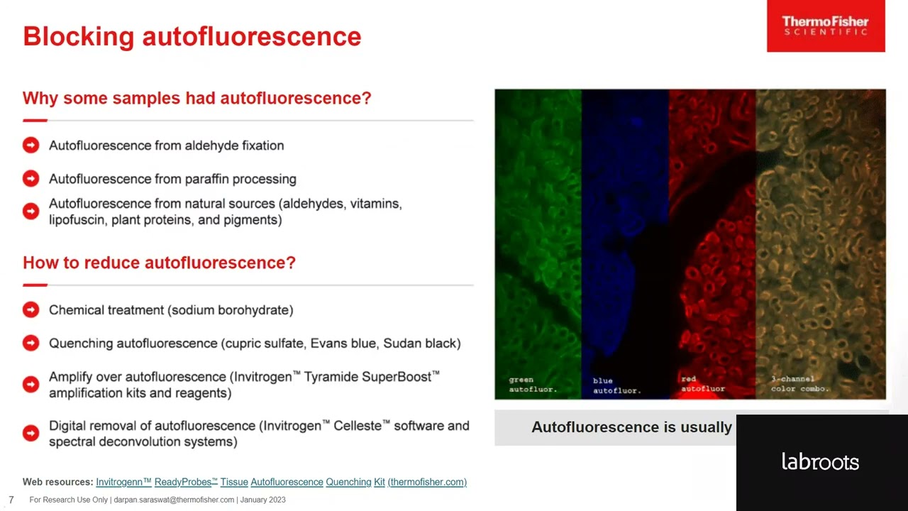 Tips and tricks for successful multiplexing IHC