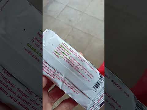 Pupuk GANDASIL B untuk merangsang pembentukan bunga dan buah#viralvideo #video #tani #shortvideo