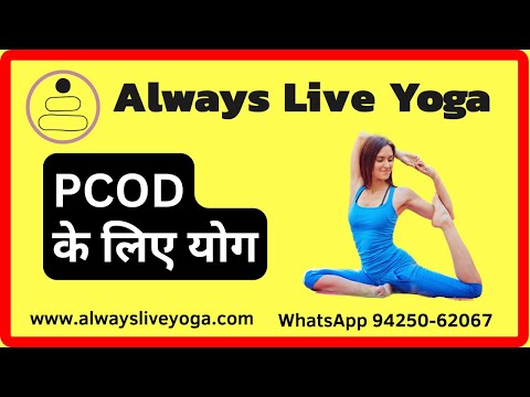 Online Yoga Classes I Always Live Yoga Online Interactive Yoga Classes