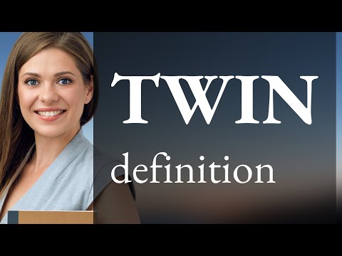 Twin • TWIN definition