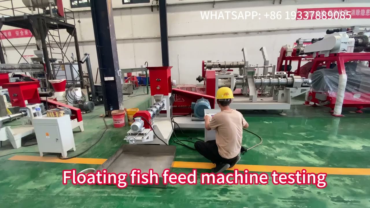 200~300kg/h Floating Fish Feed Extruder LM80 Pet Food Making Machine Factory Price#fishfeedmachine