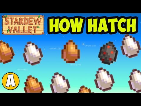 Steam Community :: Video :: Stardew Valley how to HATCH EGGS with Incubator (2024)