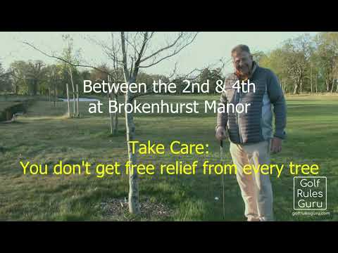 Staked and Unstaked Trees – Golf Rules Guru