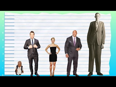 How Tall Is Chris Pratt? - Height Comparison!