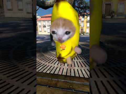 Banana cat crying 😭🤣🔥banana cat and apple cat #meme #memes #gmod #cat