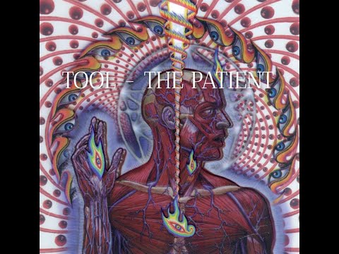 Tool - The Patient (Guitar Cover with Tab)