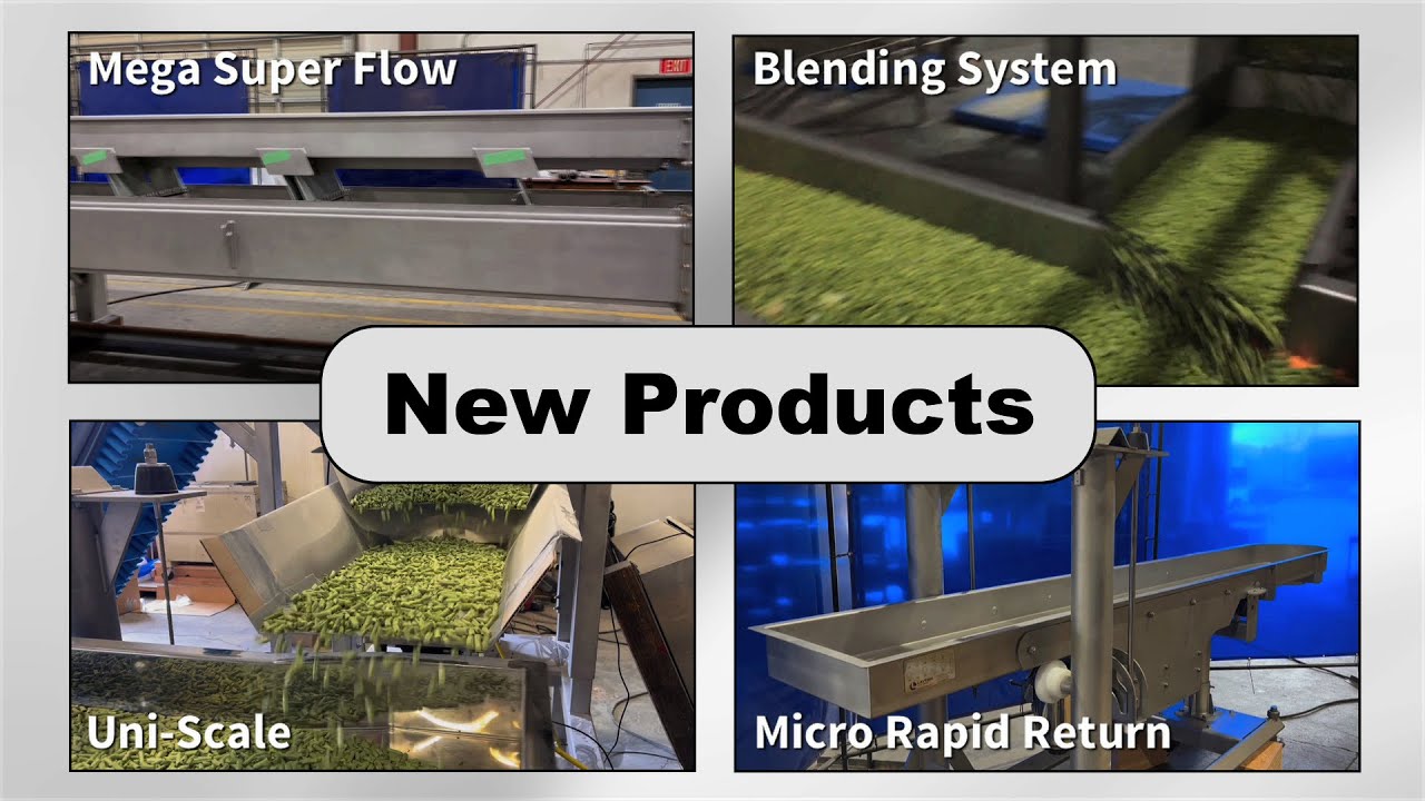 Layton New Products