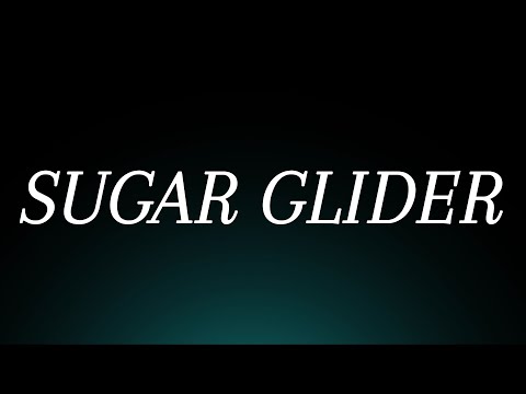 Learn How to Pronounce 'Sugar Glider'! Correctly (Animal Pronunciation)