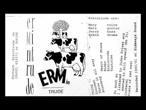 Ermintrude - Demo 1991 (RARE UK Indie New Wave Britpop Punk Riot Grrrl)