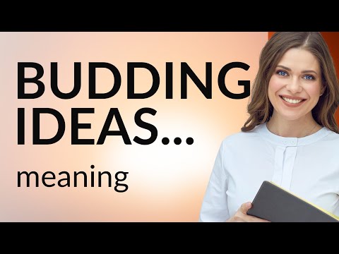 Understanding the Phrase "Budding Ideas": An English Language Learning Guide