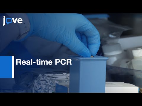 Serum and Plasma Copy Number Detection by Real-time PCR | Protocol Preview