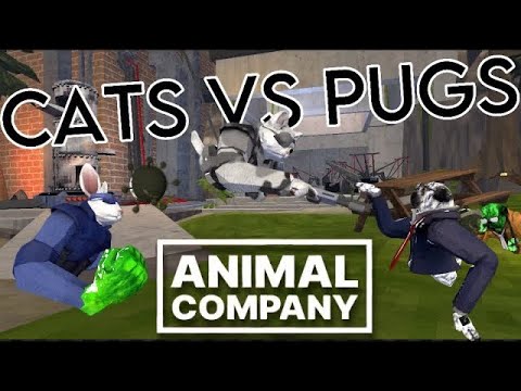 CATS VS PUGS (An Animal Company Movie)