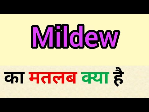 Mildew meaning in hindi | mildew ka matlab kya hota hai | word meaning in hindi