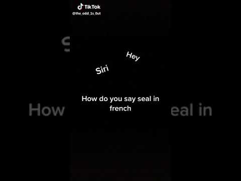 Hey Siri, how do you say seel in French? TIKTOK