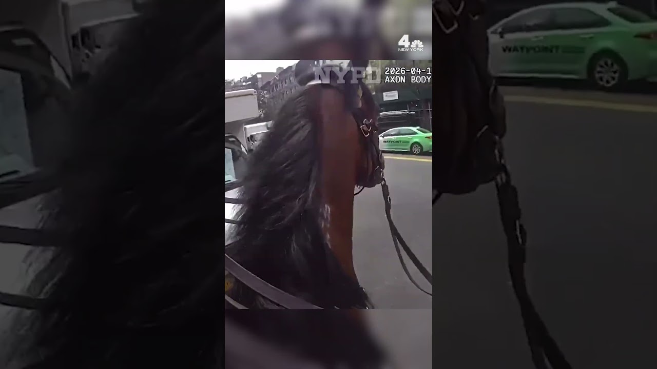 Horse chase bodycam: NYPD releases new look at UWS pursuit | NBC New York