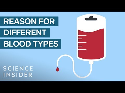 Why You Can't Mix Blood Types
