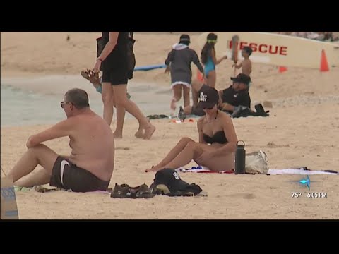 Sunscreens harmful to environment may soon be banned in Hawaii