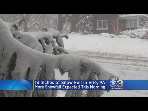 13 Inches Of Snow Falls In Erie, Pennsylvania