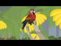 Babytv Mr Snail Parrot Watch HD Mp4 Video Download Free