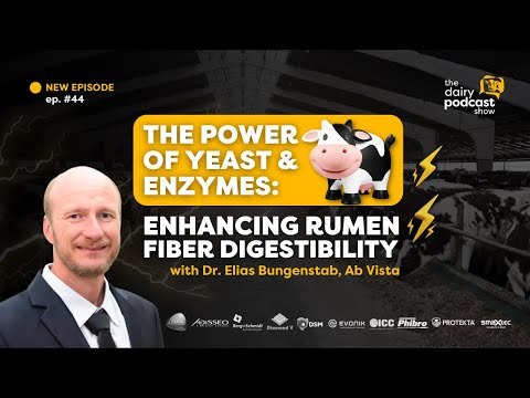 Dr. Elias Bungenstab: Yeast and Enzymes in Dairy | Ep. 44