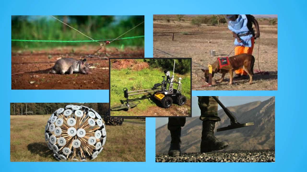 CATUAV Landmines Detection