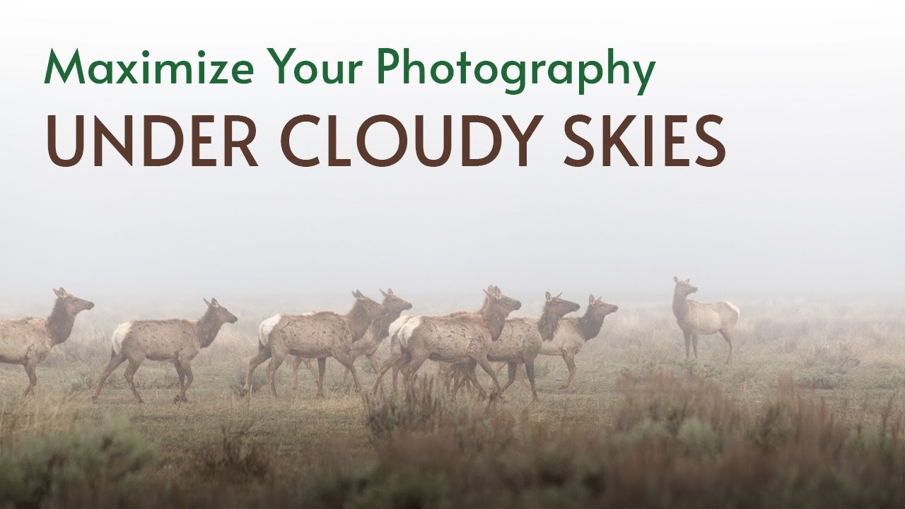 How to Capture Epic Photos Under Cloudy Skies