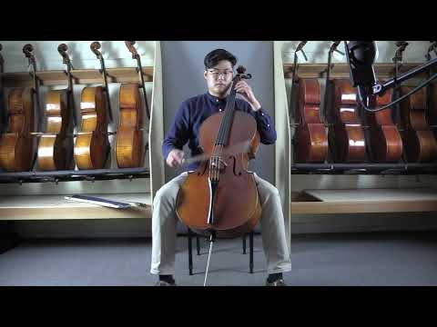Vivo Limited Eurowoods Strad Cello for Sale | Linda West Cellos
