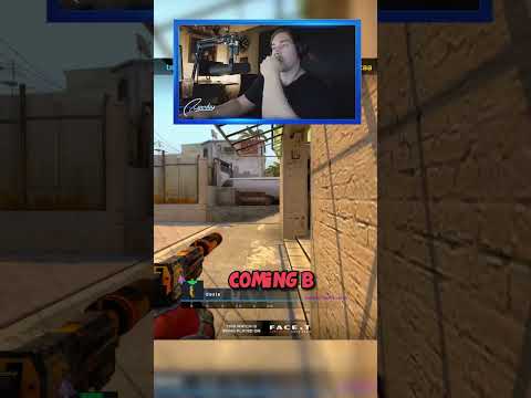 FACEIT Level 10 = Silver (no difference)
