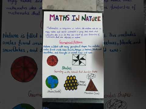 Maths In Nature | #geometry #shapes #art #craft #maths #nature #patterns @khushboochaurasiya2316