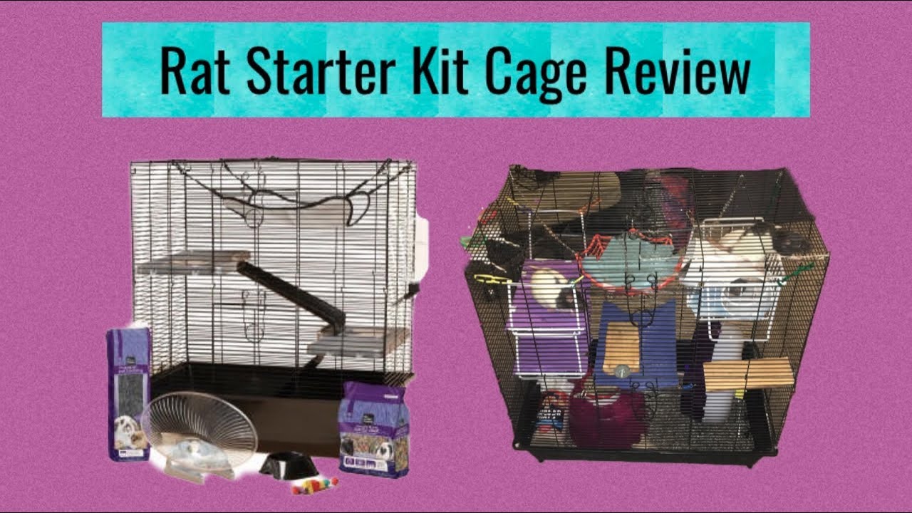 Rat Starter Kit Cage Review