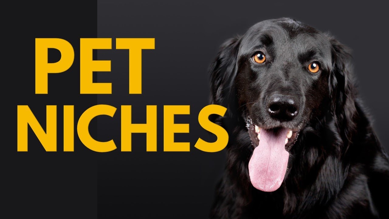 3 Pet Niches That SELL on Etsy in 2025