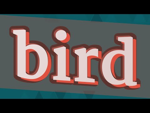 BIRD pronunciation • How to pronounce BIRD