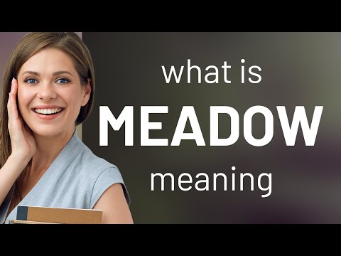 Meadow • MEADOW definition