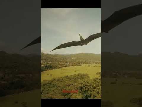 Pterodactyl Dinosaur in Real Life!