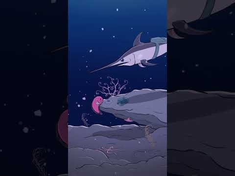 Swordfish ⚔️🐟 #animation #original #cartoon