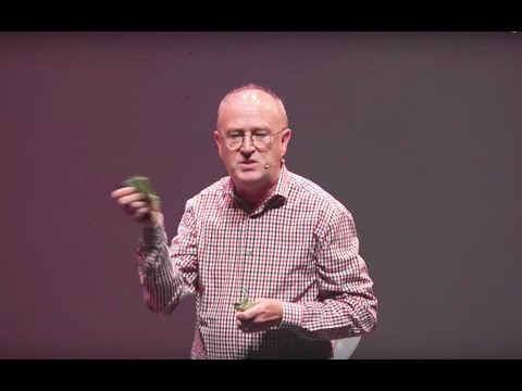 Characteristics of a Future City – Wilderness, Farms & Smart | Brendan "Speedie" Smith | TEDxGalway