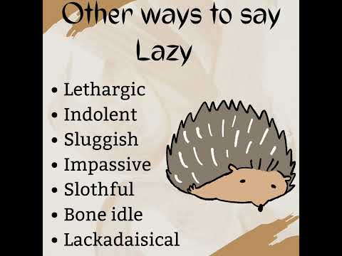 Other ways to say Lazy #shorts #youtubeshorts #vocabulary #learnenglish
